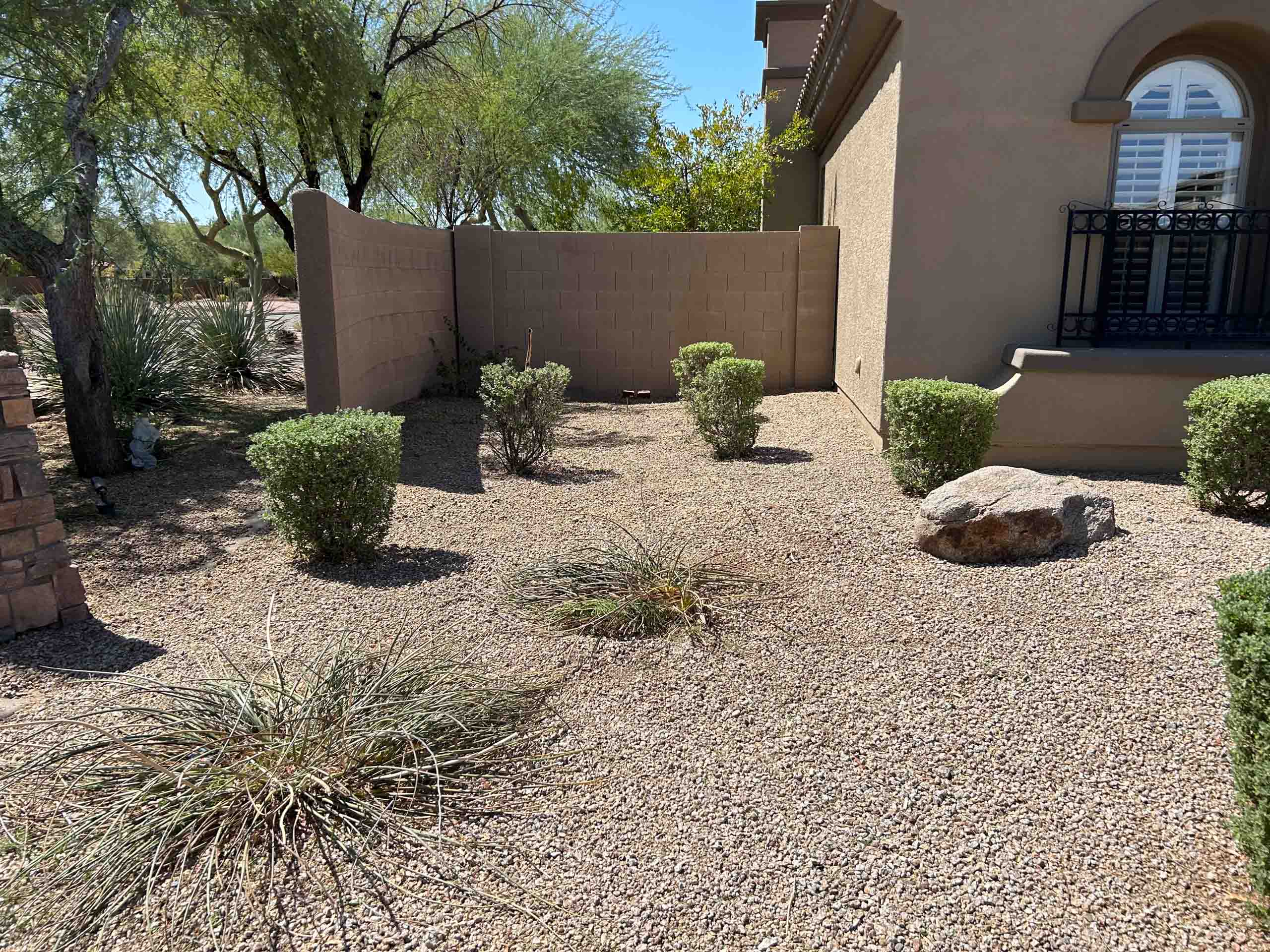 Buckeye, AZ's Most Trusted Landscaping Services Company | Tropical ...